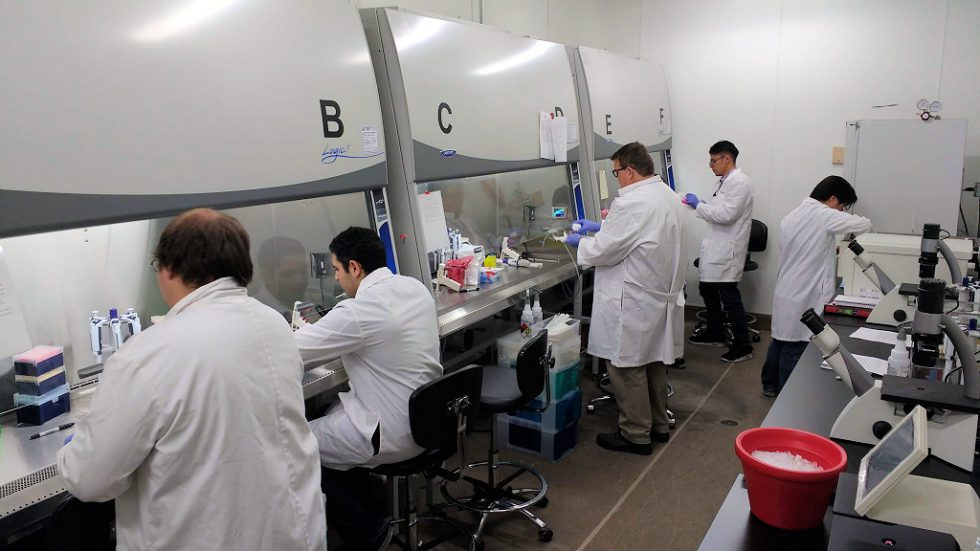 Natural Sciences | Natural Sciences division at Fullerton College